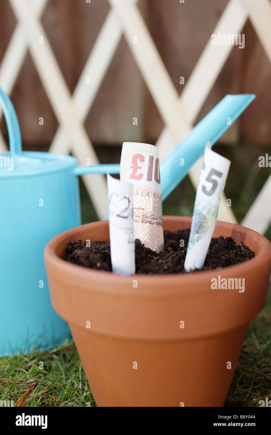 Money tree hi-res stock photography and images - Alamy