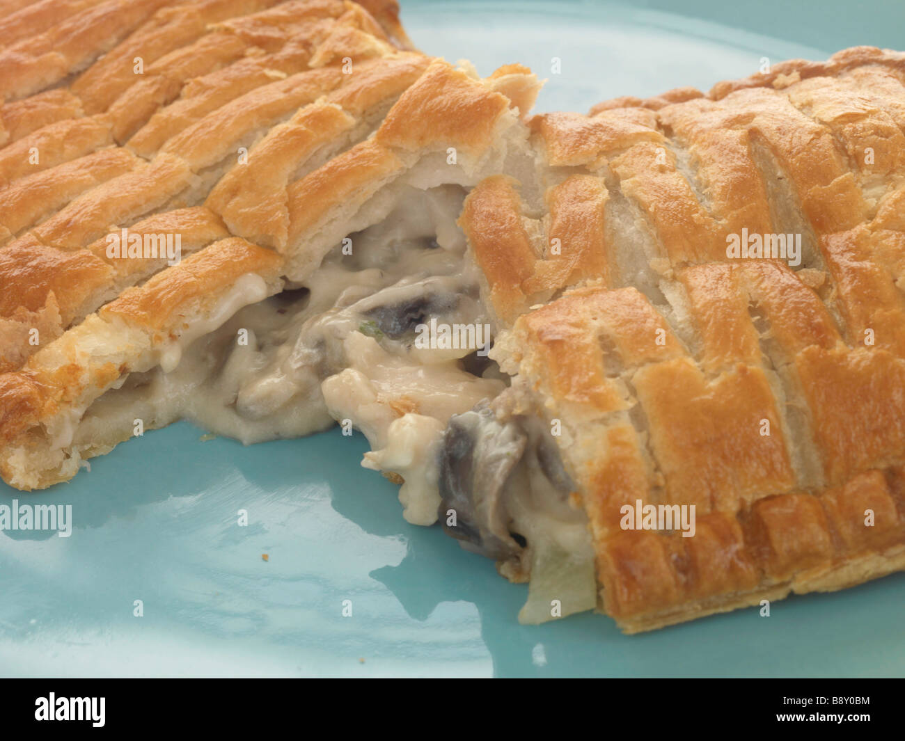 Chicken and Mushroom Slice Stock Photo - Alamy