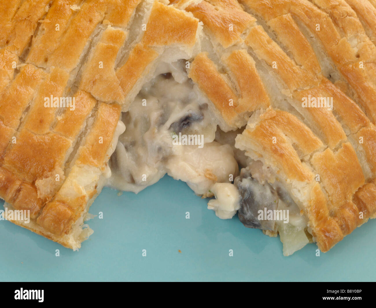 Chicken and Mushroom Slice Stock Photo - Alamy