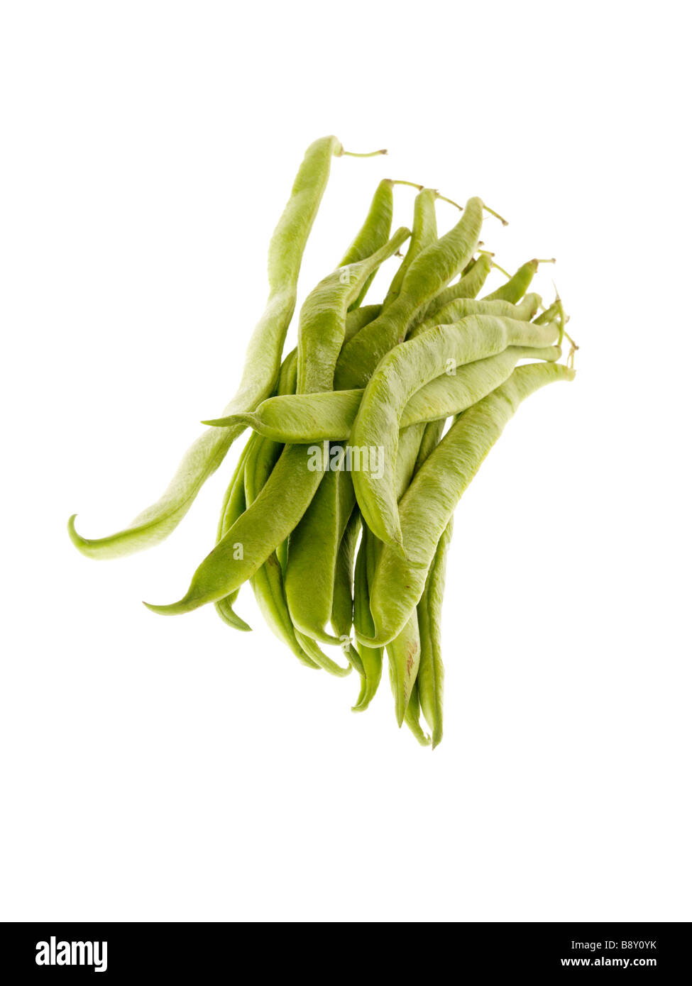Fresh Healthy Green Runner Beans Vegetable Isolated Against A White ...