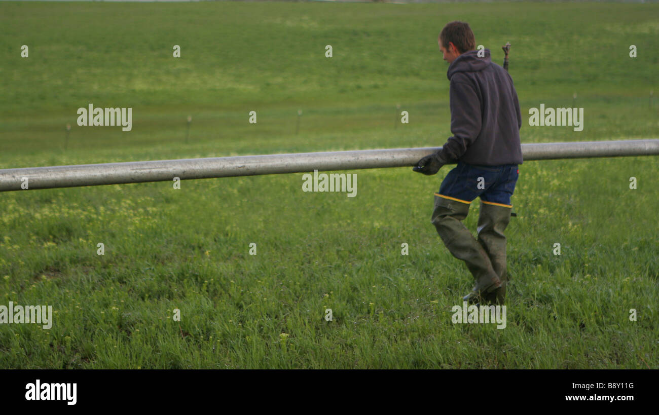 Farmer with pipe hi-res stock photography and images - Alamy