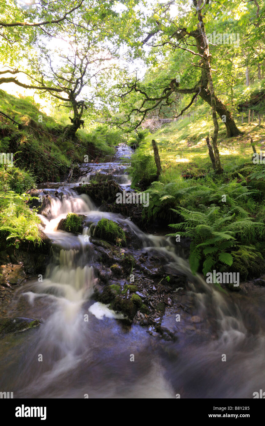 Welsh waterfalls hi-res stock photography and images - Alamy