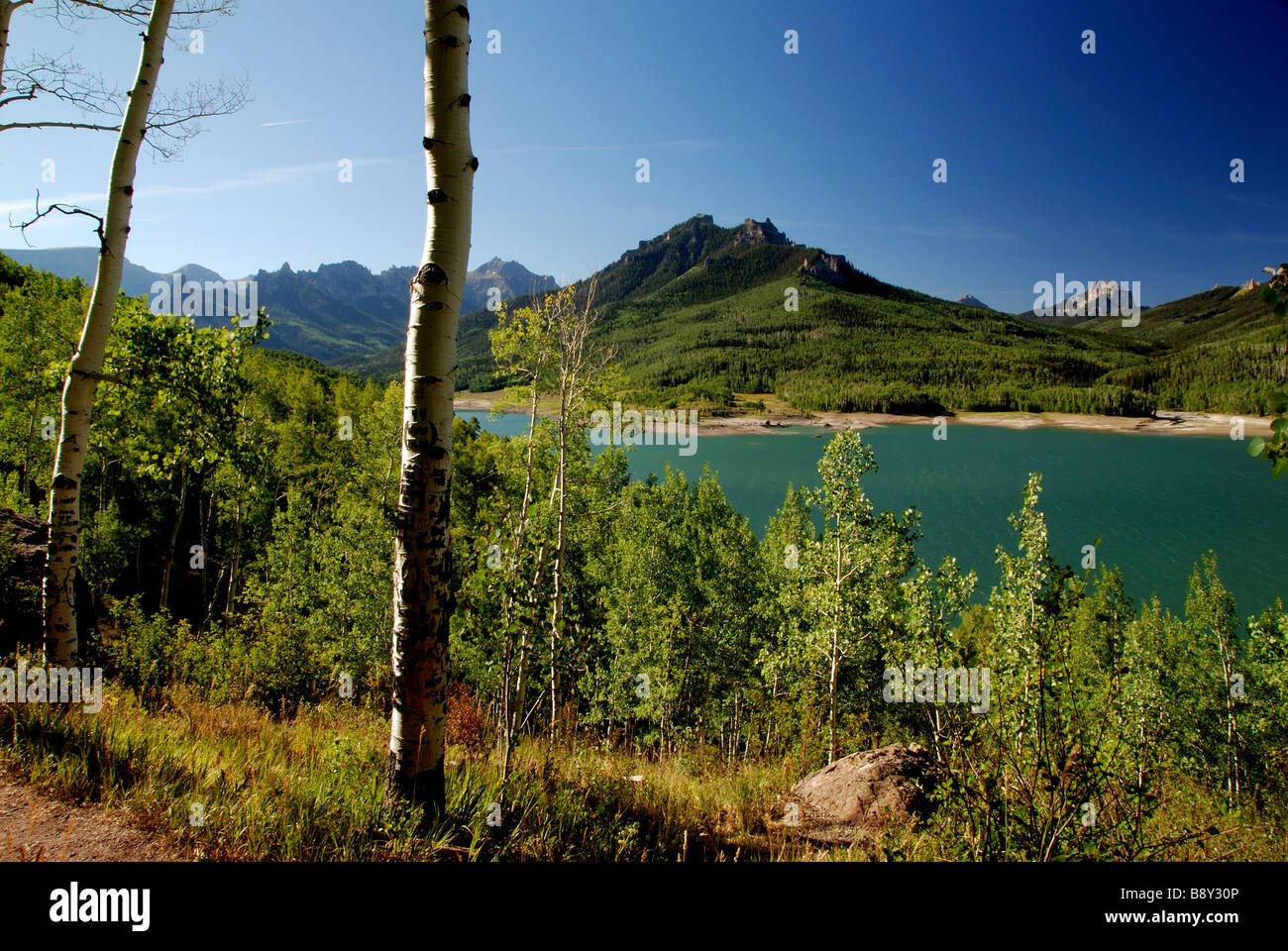 Lake in a forest, Lake County, Colorado, USA Stock Photo - Alamy