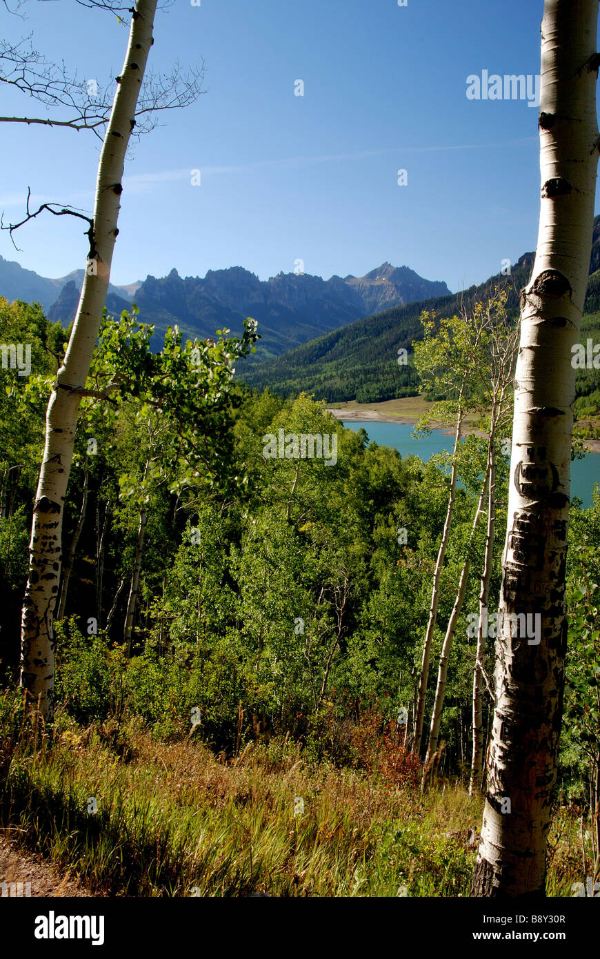 Lake in a forest, Lake County, Colorado, USA Stock Photo - Alamy
