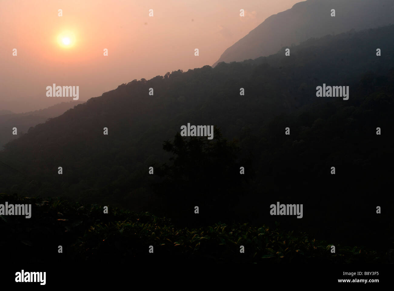 Munnar mountain hi-res stock photography and images - Alamy