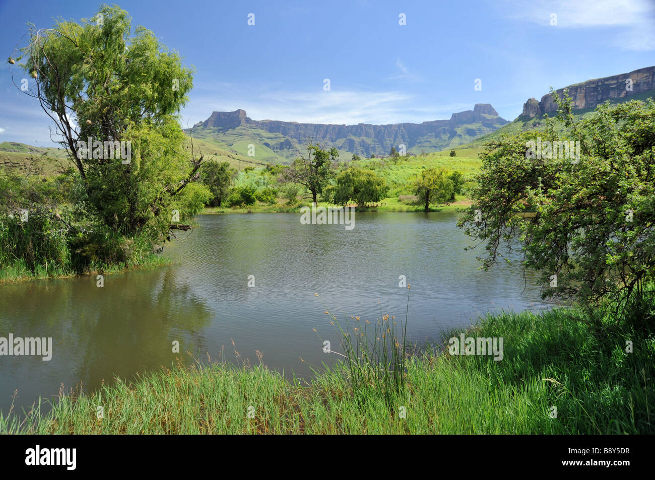Landscape, mountain, KwaZulu-Natal, South Africa, The Amphitheater ...