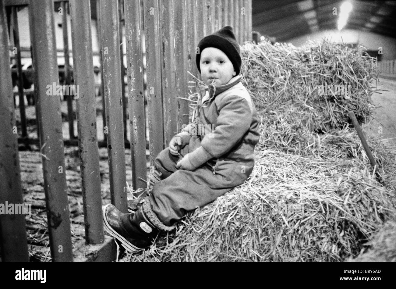 Boy on a farm sitting in the hay Stock Photo - Alamy