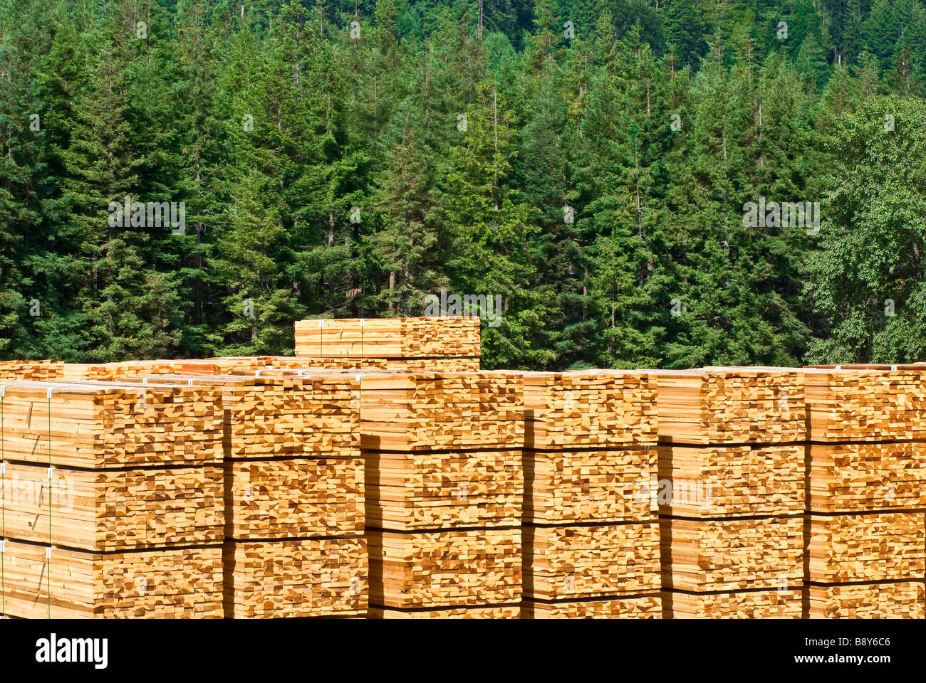 Stack of logs in a lumberyard, California, USA Stock Photo - Alamy