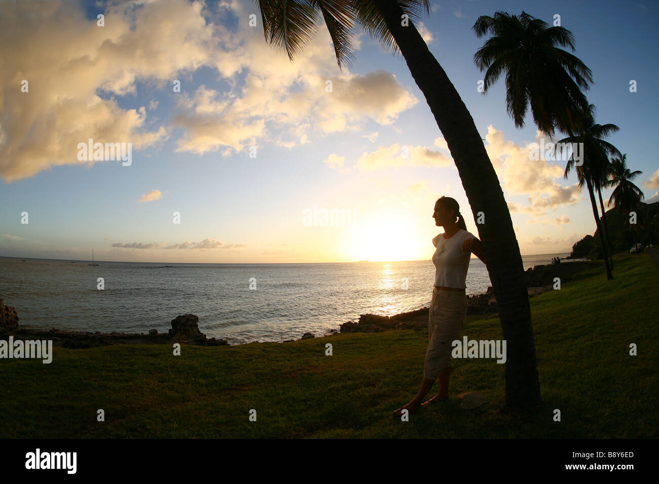 Woman standing under a palm tree enjoying the sunset on the Caribbean ...