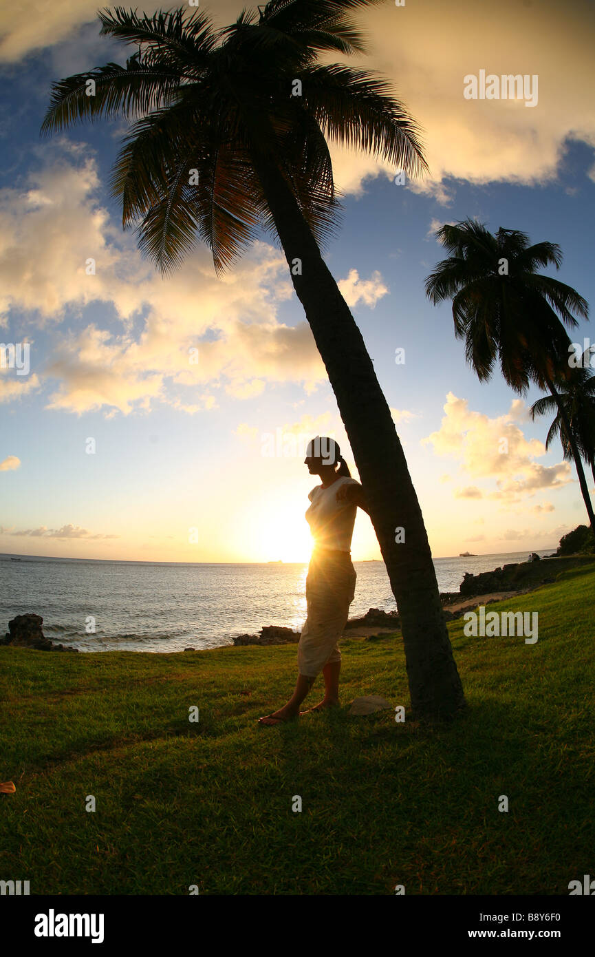 Woman standing under a palm tree enjoying the sunset on the Caribbean ...