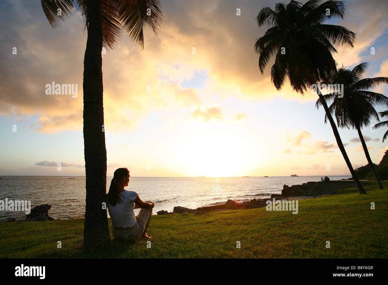 Sitting Under Palm Tree