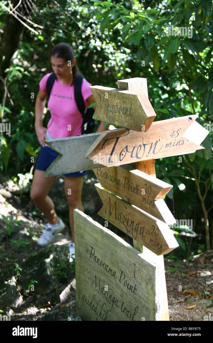 Woman hiking to the top of the Quill, a volcano, on the Caribbean isle ...