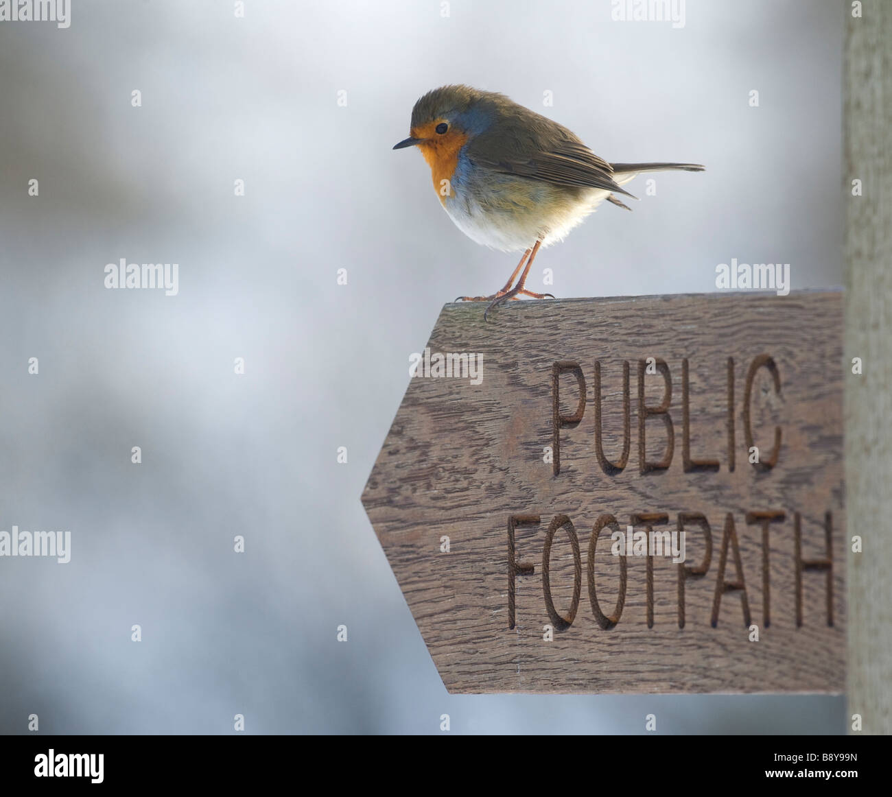 One gigabyte hi-res stock photography and images - Alamy