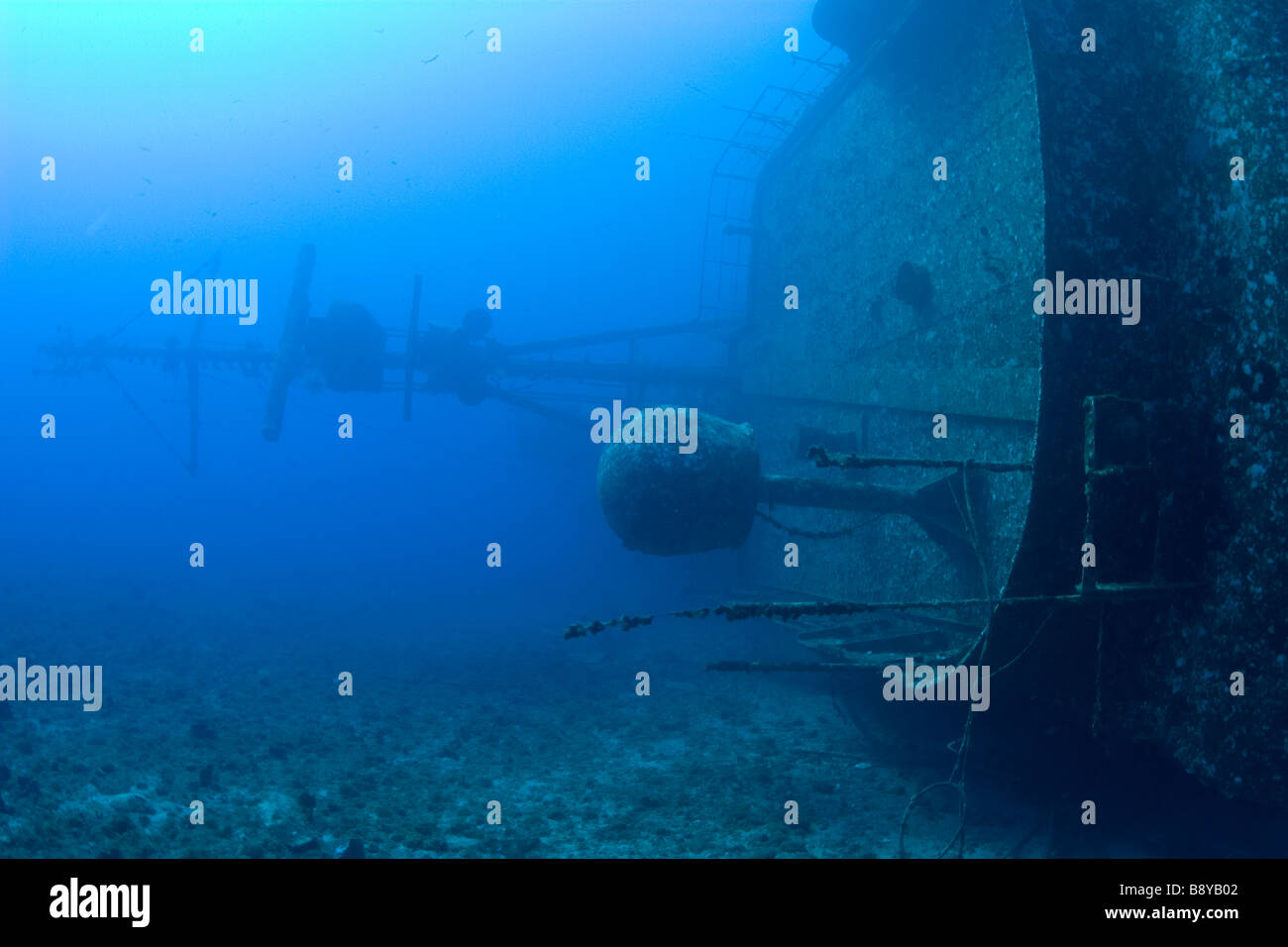 Diving at the ship wreck of the C.S Charles Brown in the ocean near the ...