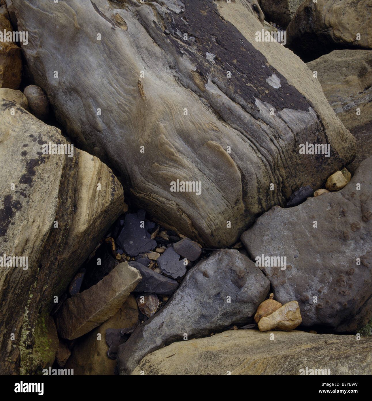 Eroded rocks at Ravenscar In Search of Neptune page 20 Stock Photo - Alamy