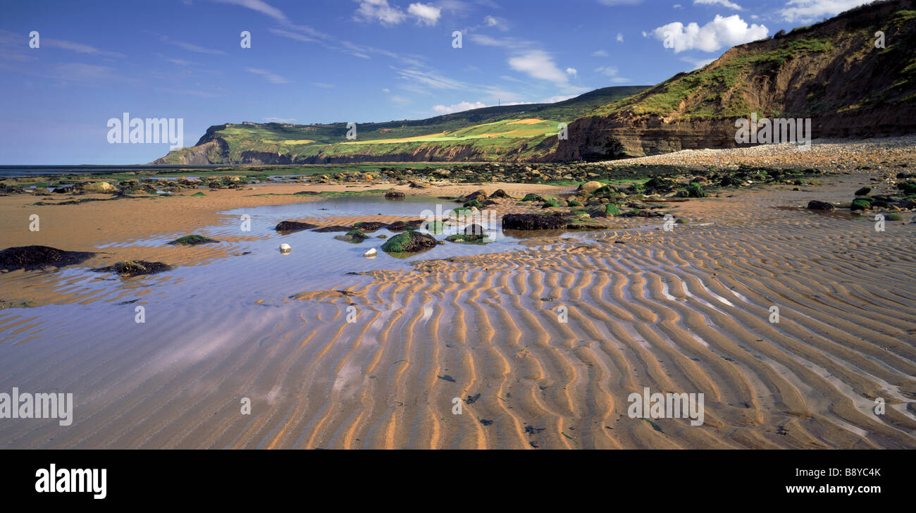 A view of Ravenscar NT from the beach at Boggle Hole NT Stock Photo - Alamy
