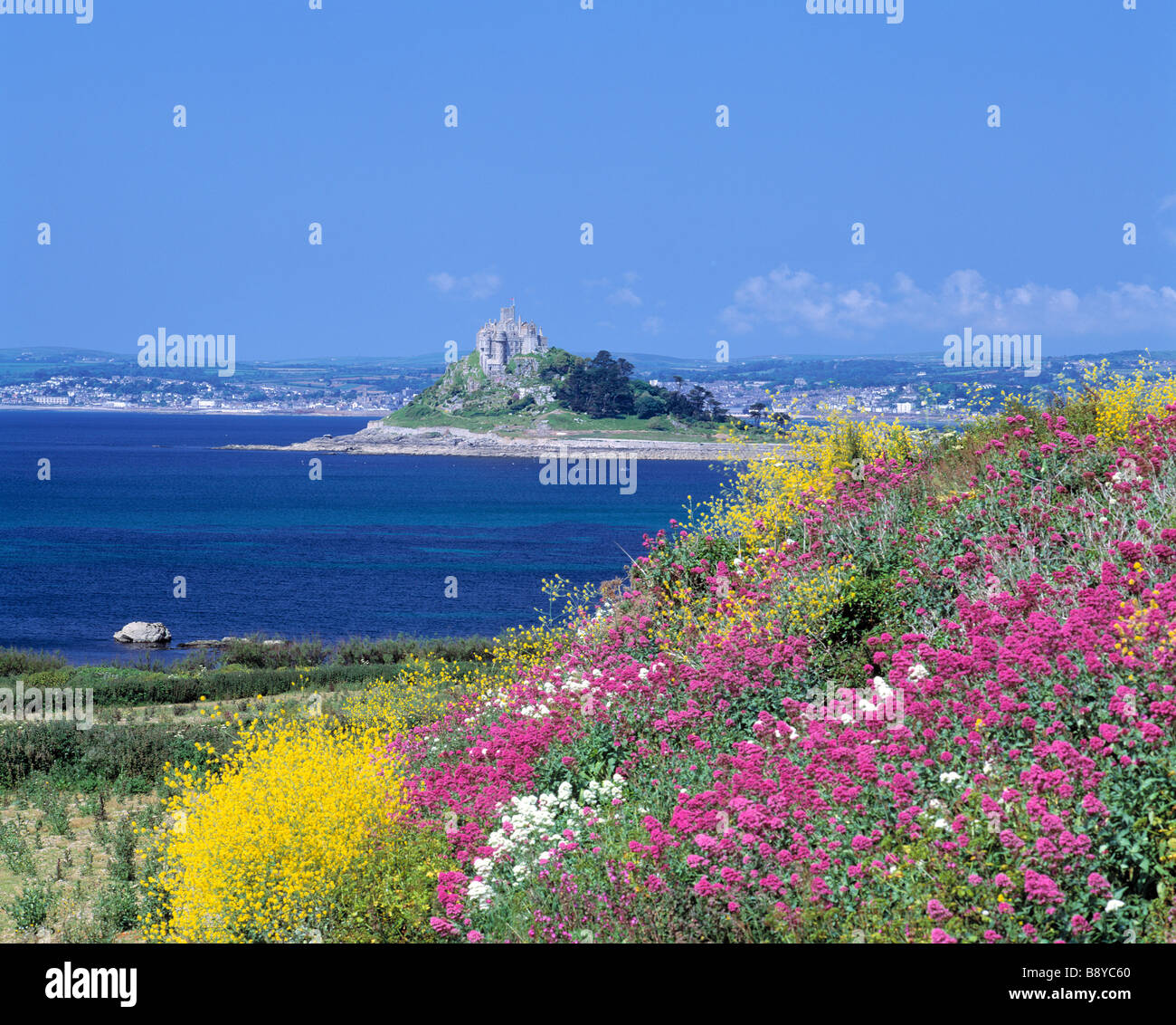 GB CORNWALL ST MICHAELS MOUNT SUMMER FLOWERS Stock Photo - Alamy