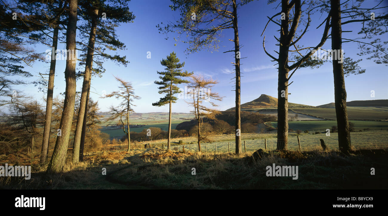 Roseberry common hi-res stock photography and images - Alamy