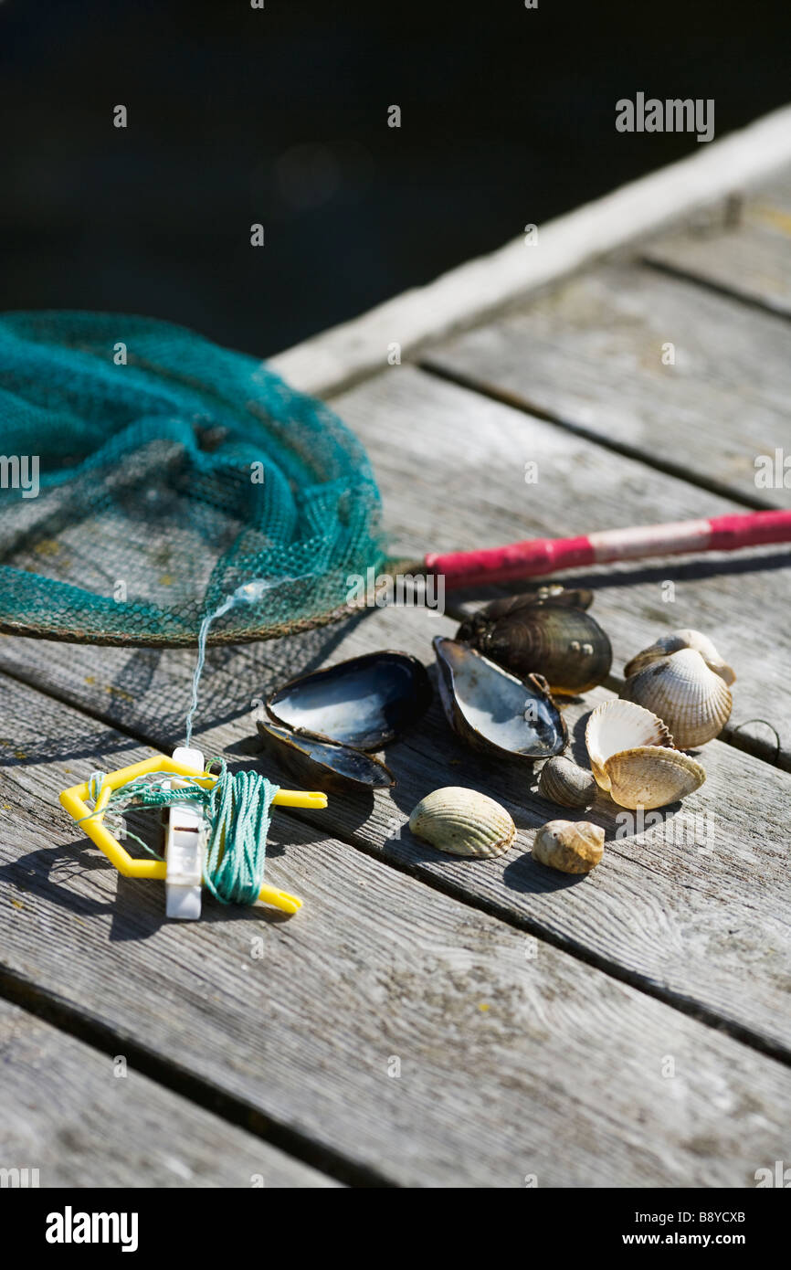 Fishing net with mussels hi-res stock photography and images - Alamy