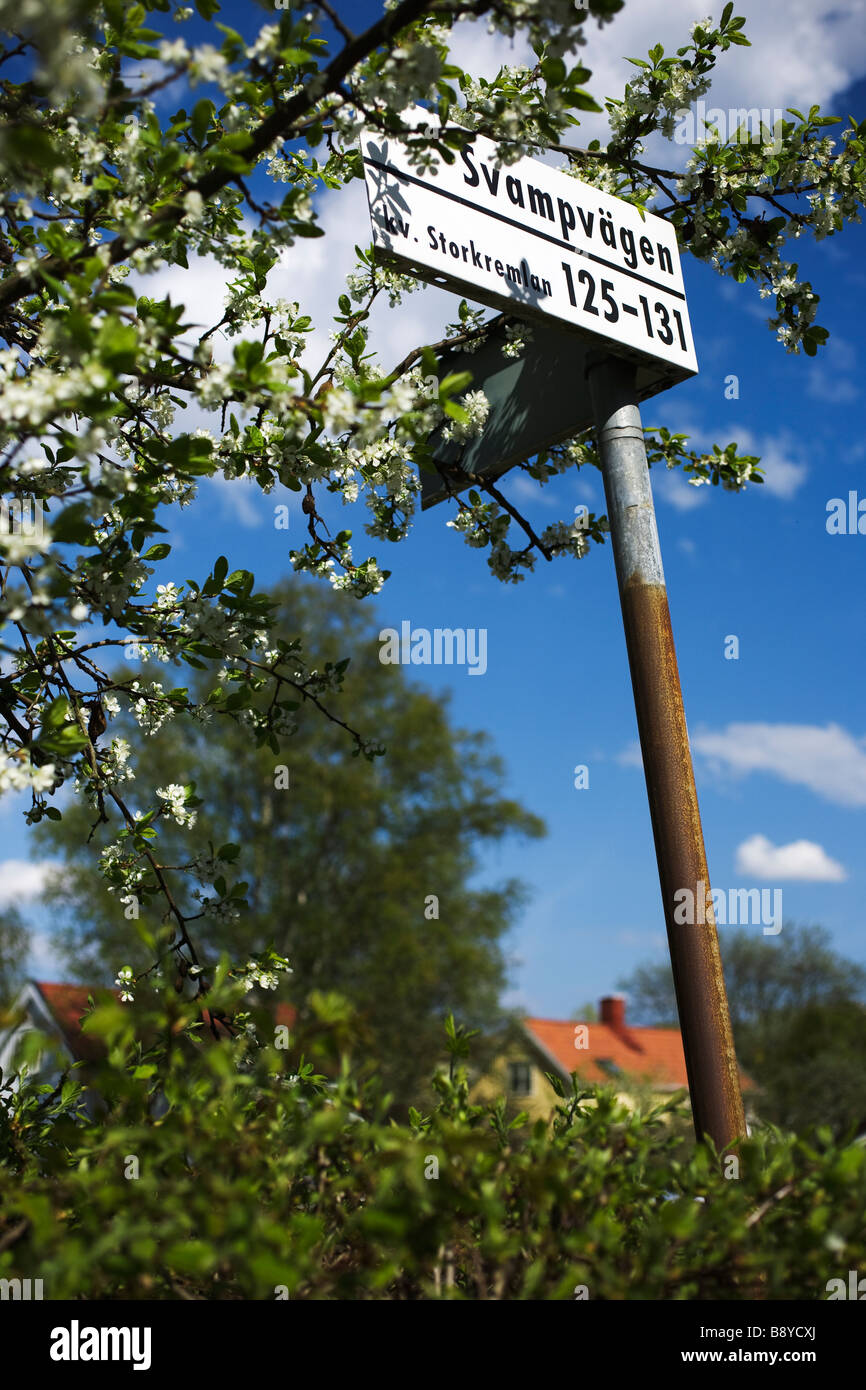 Street sign in a crossing Sweden Stock Photo - Alamy