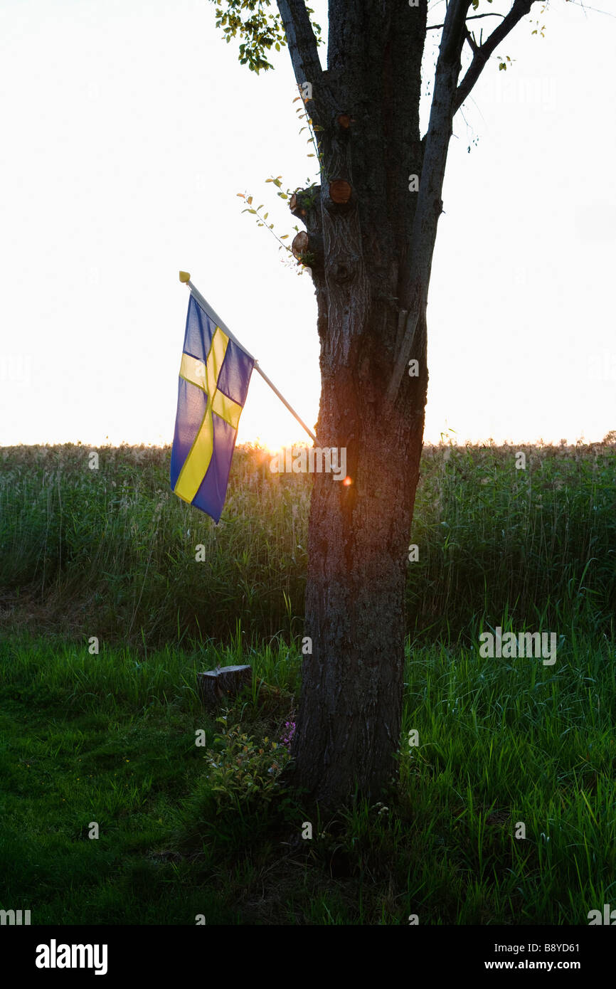 Swedish sweden images hi-res stock photography and images - Alamy