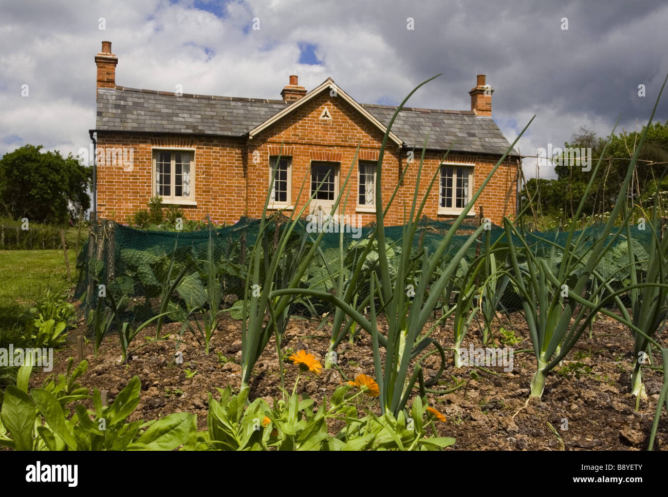 Chartism england hi-res stock photography and images - Alamy