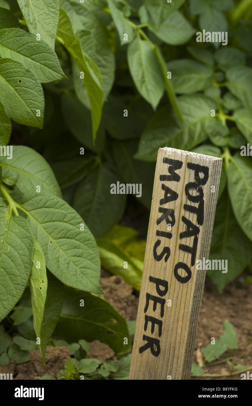 Chartism england hi-res stock photography and images - Alamy