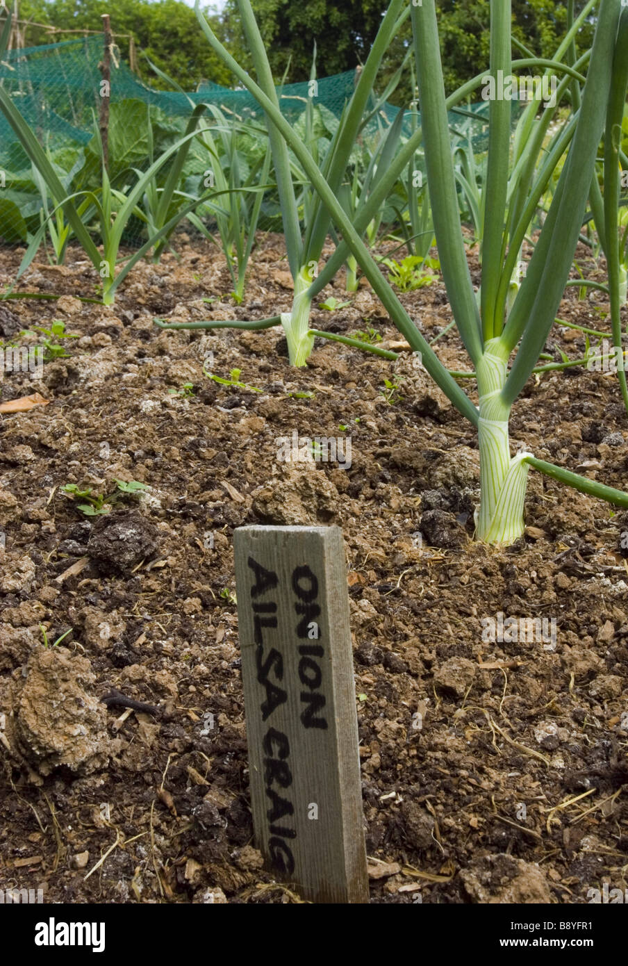 Chartism england hi-res stock photography and images - Alamy