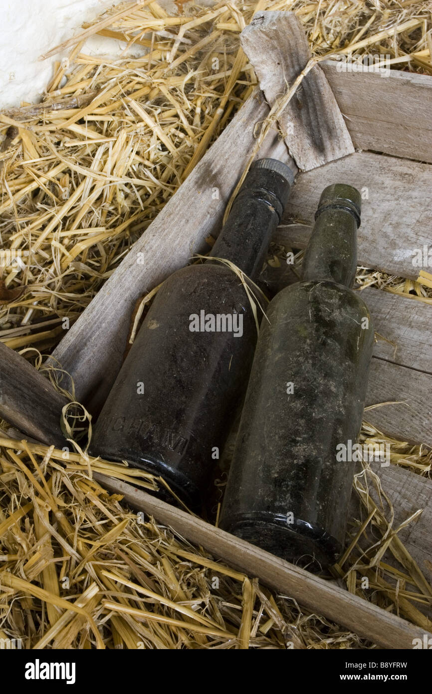 Chartism england hi-res stock photography and images - Alamy