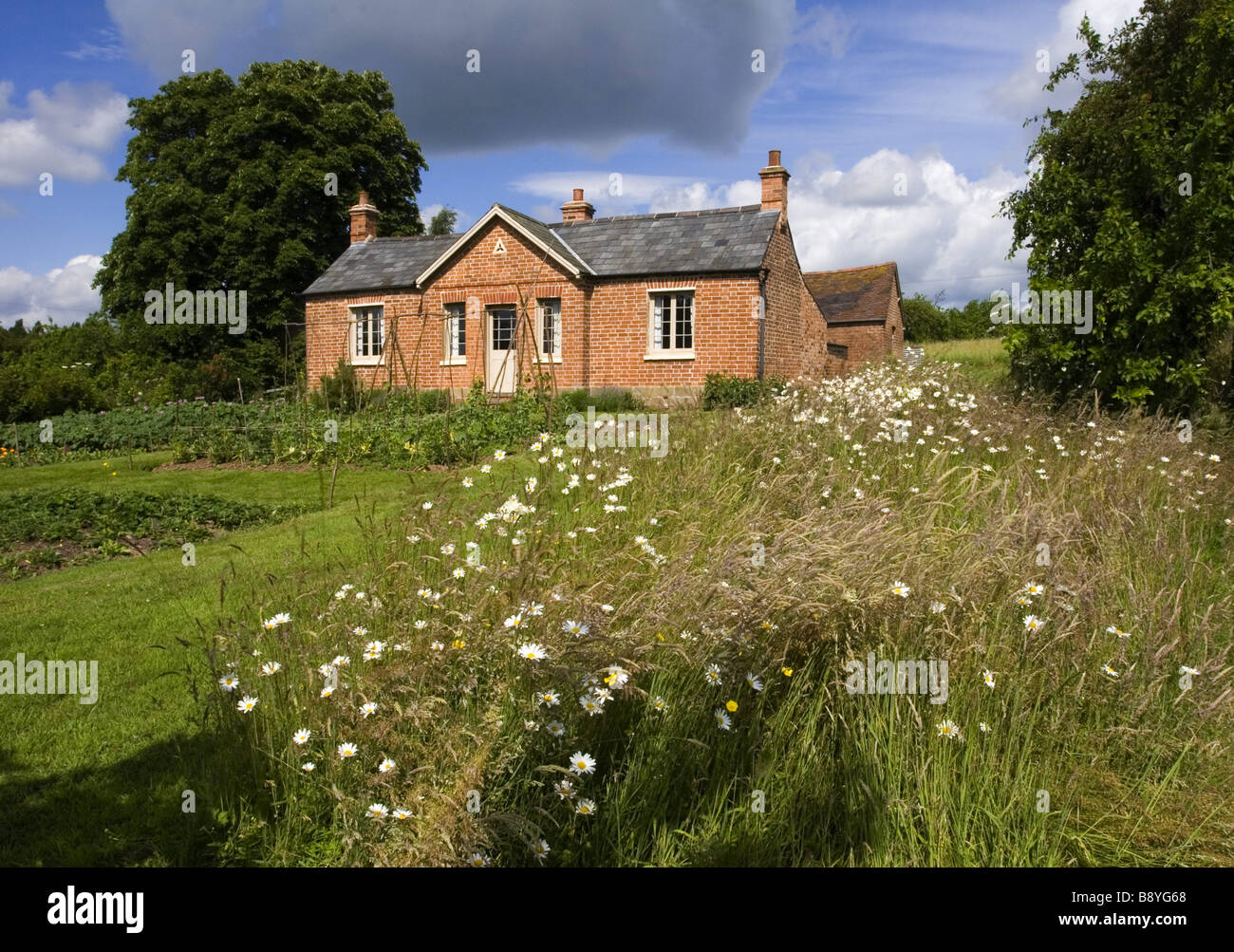 Chartism england hi-res stock photography and images - Alamy