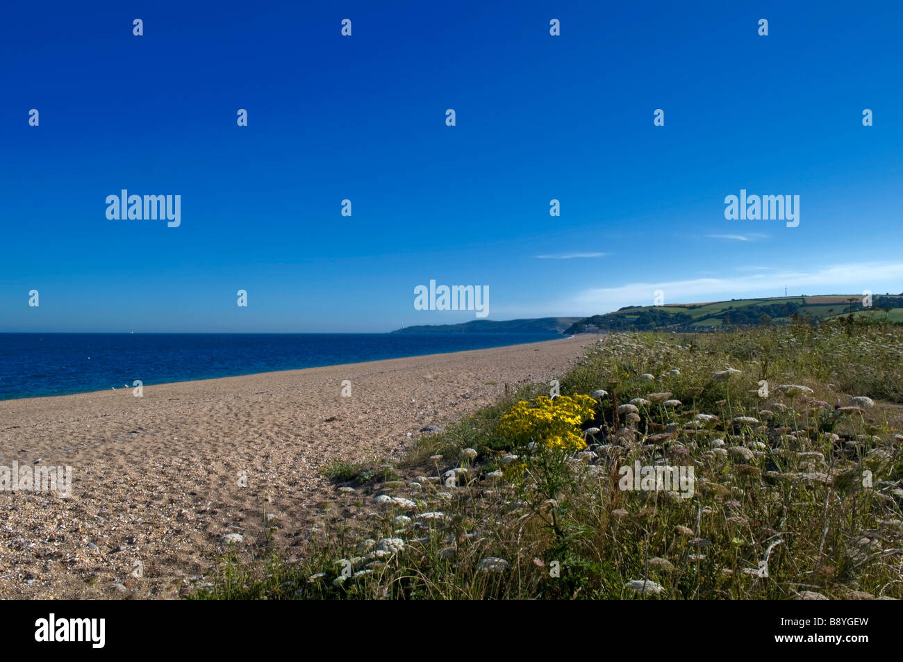 Slapton sands beach bar hi-res stock photography and images - Alamy