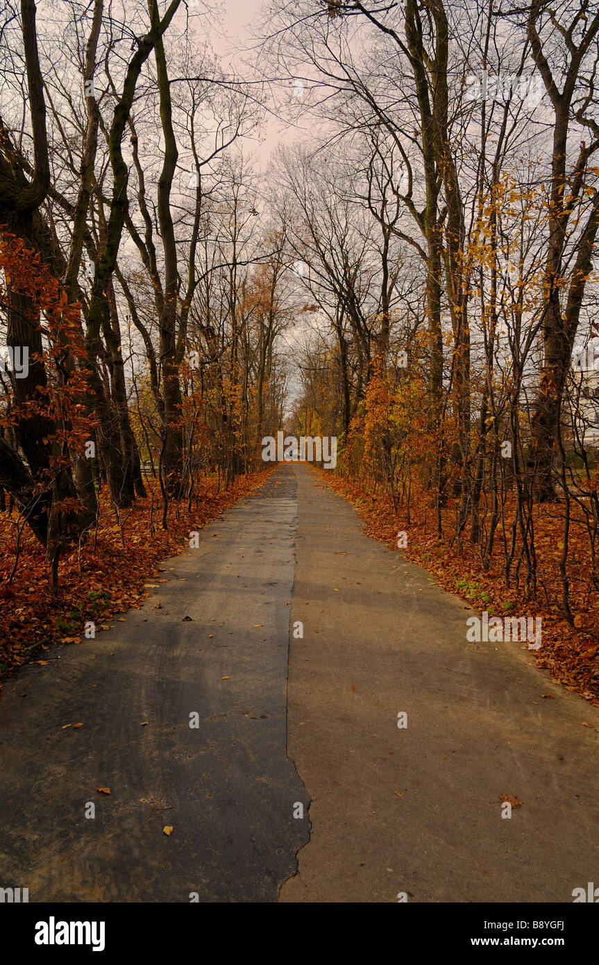 Autumn alley in Warsaw Poland Stock Photo - Alamy