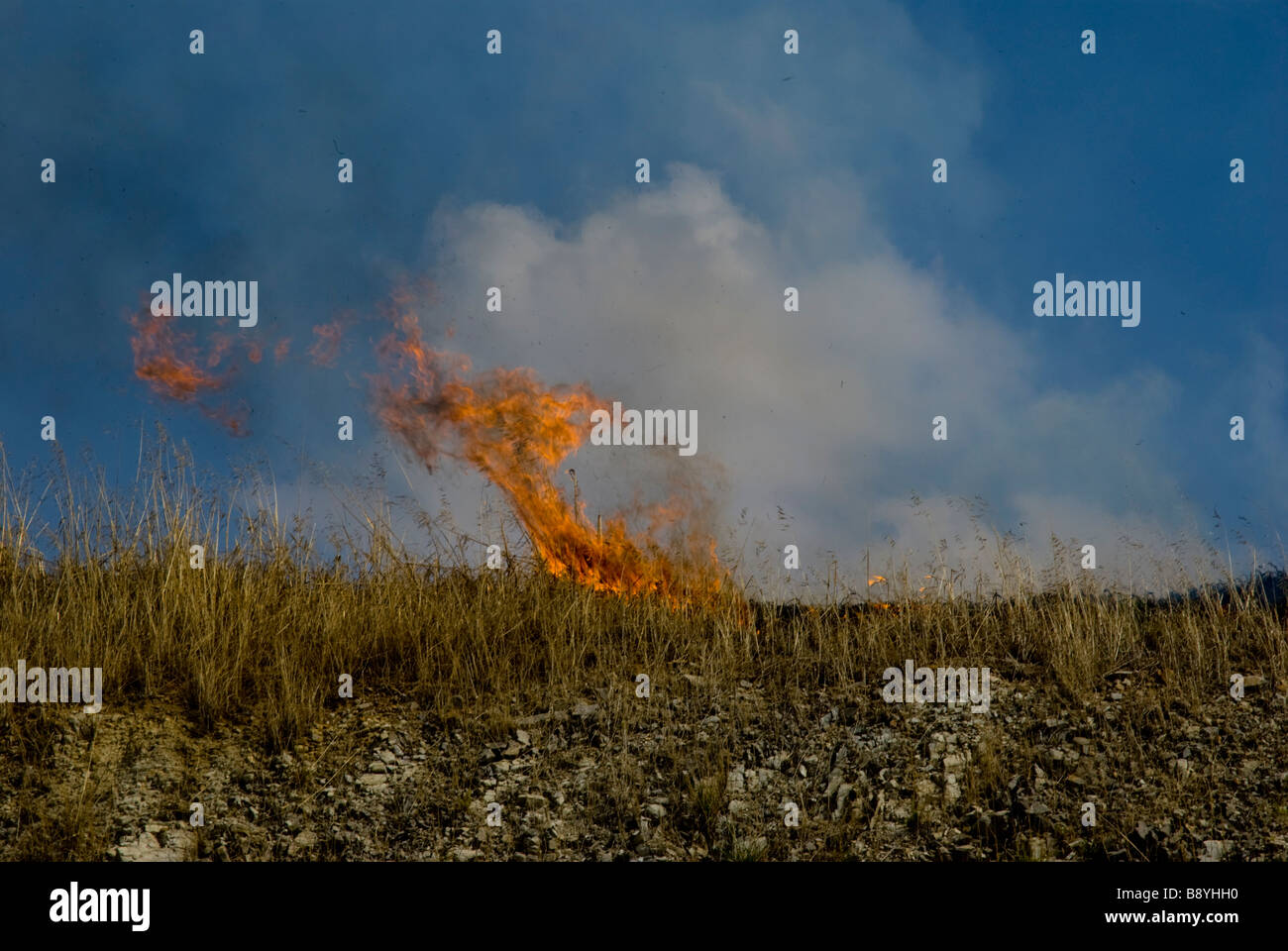 Roadside embankment hi-res stock photography and images - Alamy