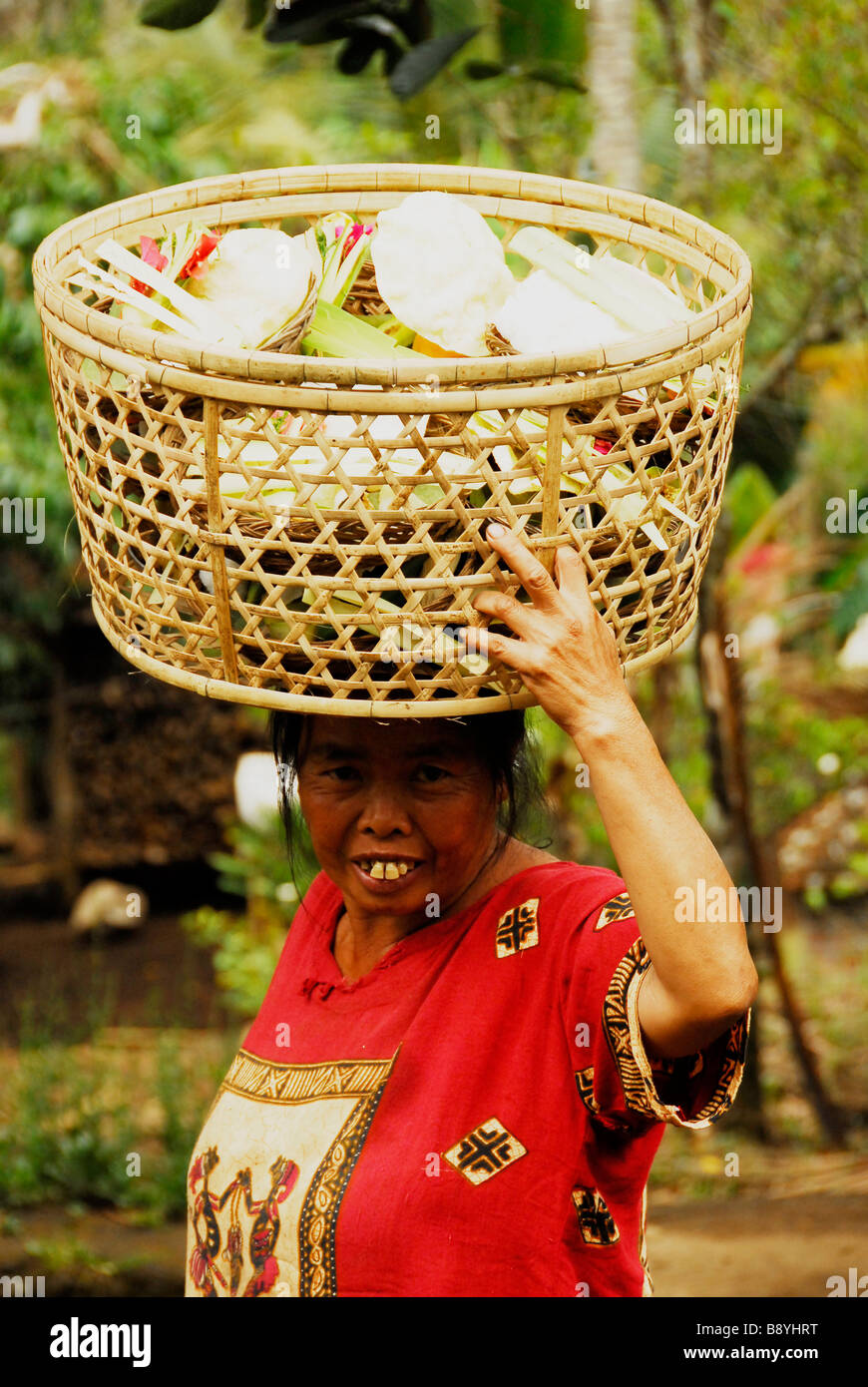 Balinese woman carrying basket of offering,Ubud,Indonesia Stock Photo ...