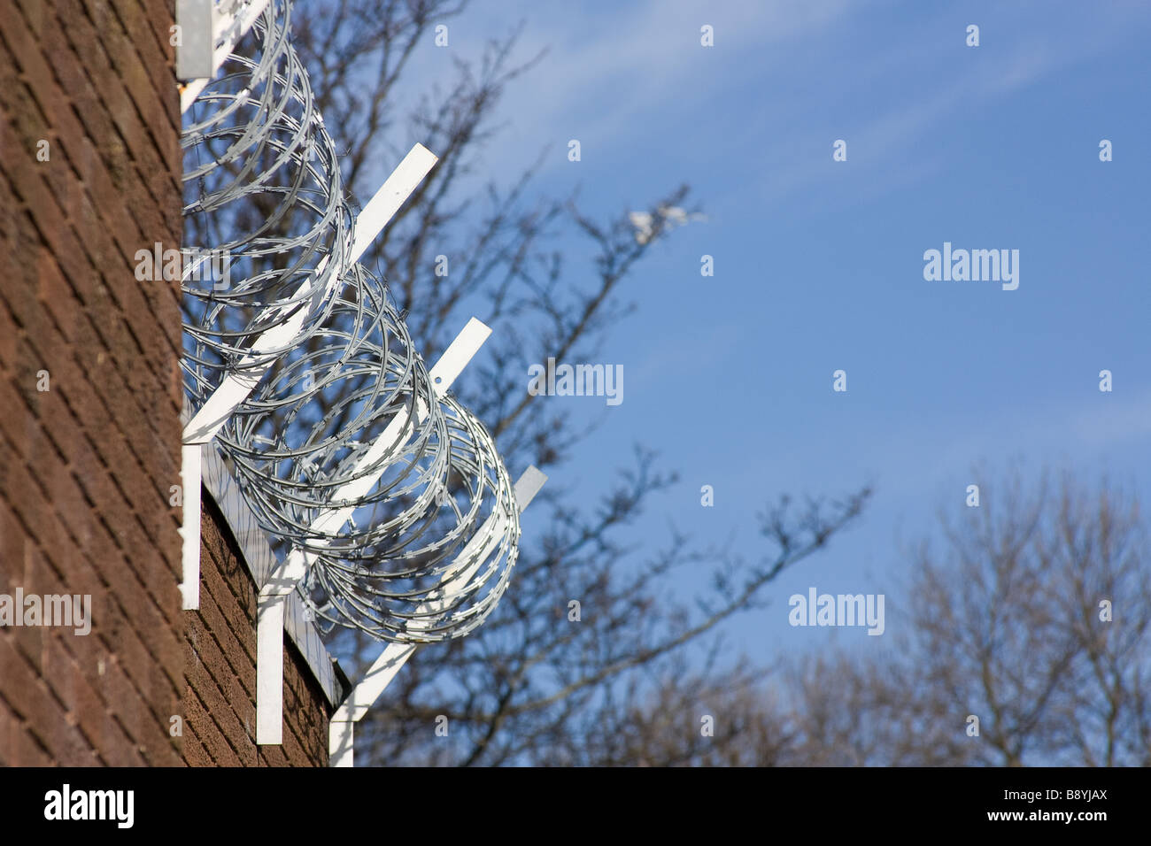 Coils of razor wire attached to brick wall against blue sky with ...