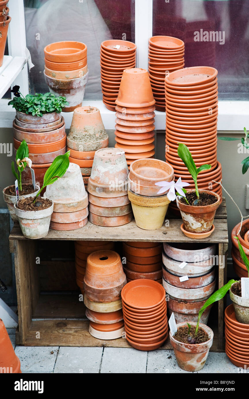 Pots in a greenhouse Stock Photo - Alamy