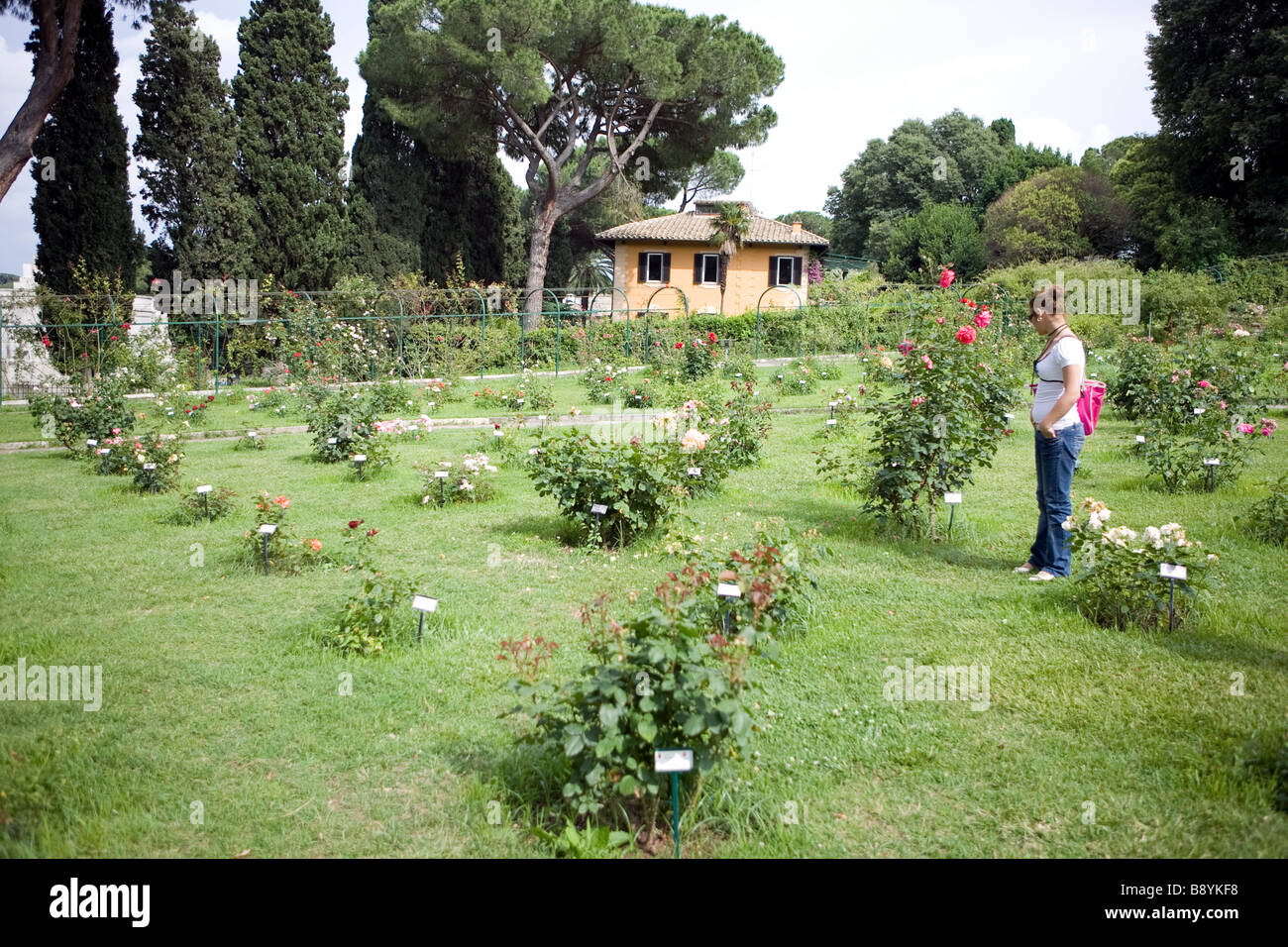 Rome rose garden hi-res stock photography and images - Alamy