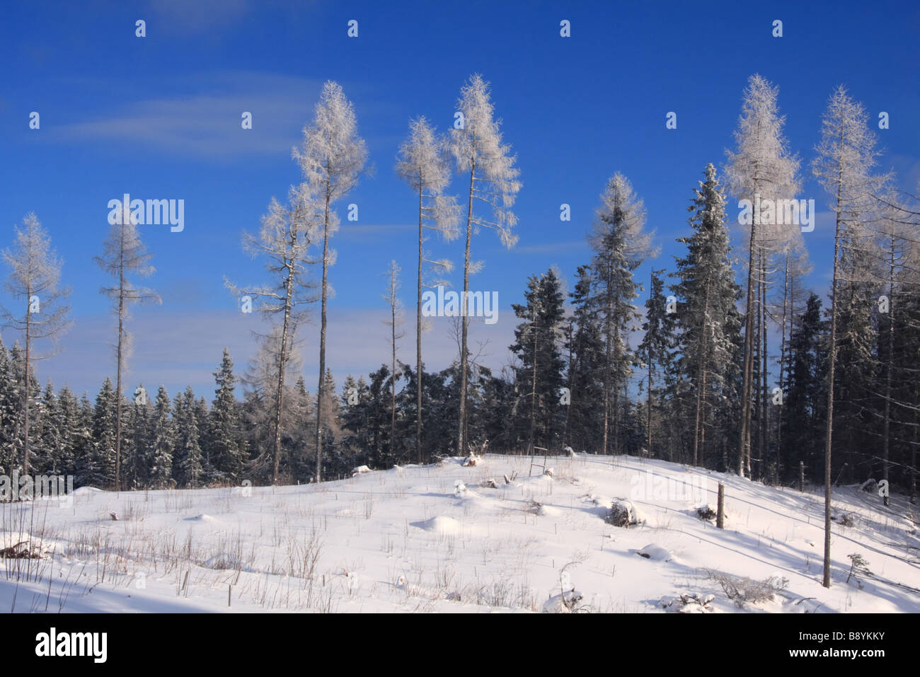 Slovak national nature reserve hi-res stock photography and images - Alamy