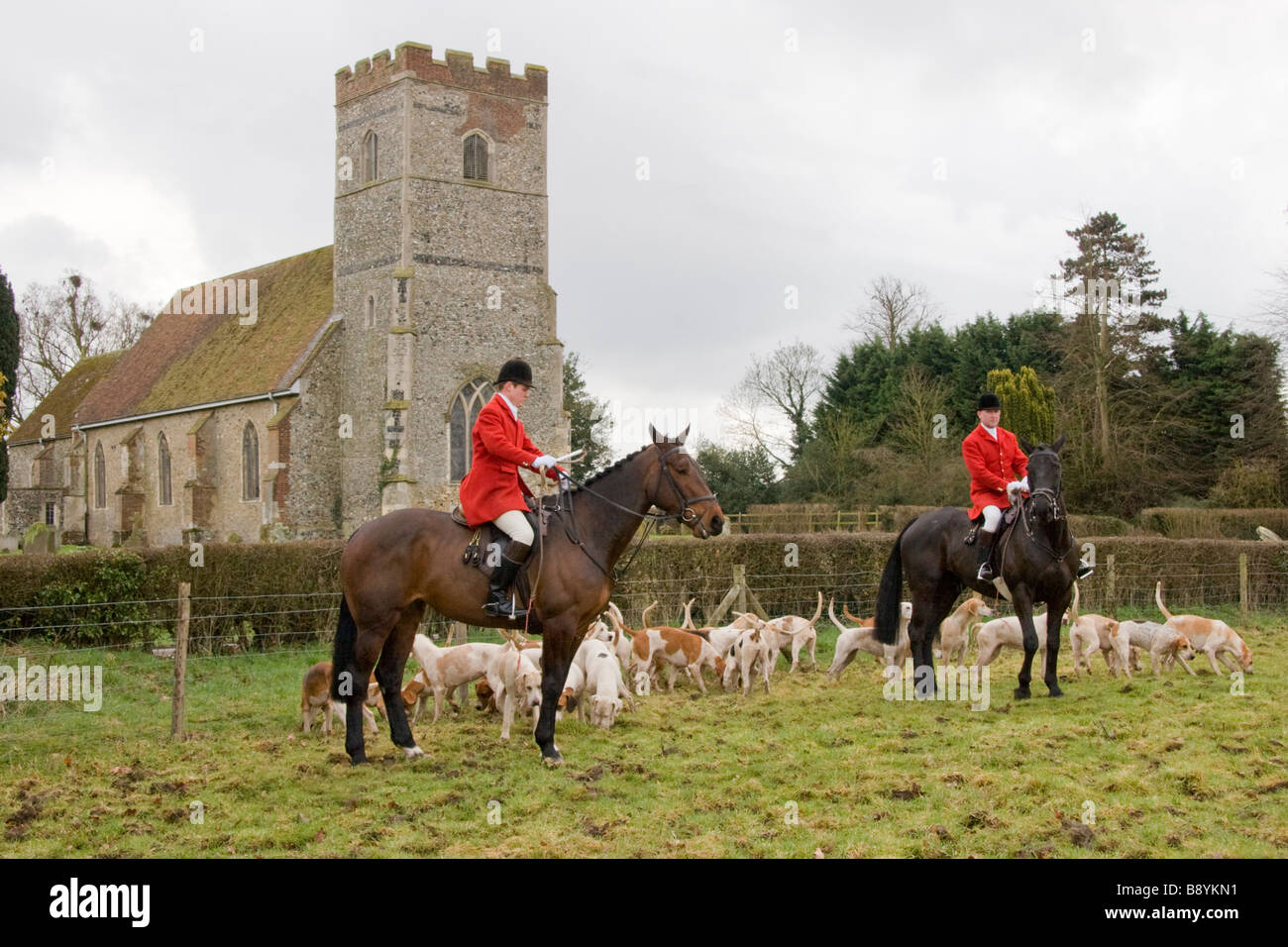 Huntsman Whipper in and foxhounds of the Essex and Suffolk Hunt England ...