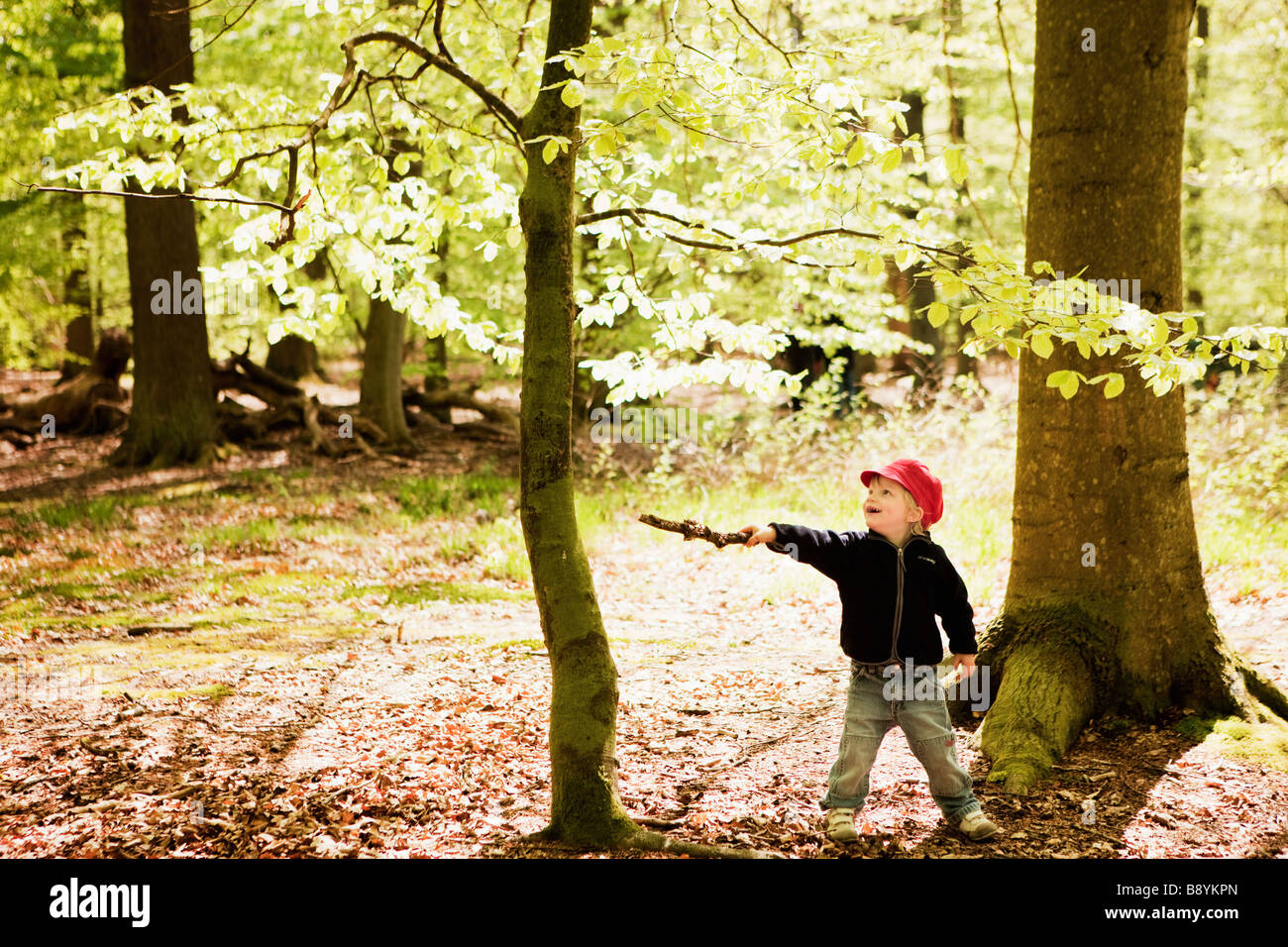 A boy playing in the forest Skane Sweden Stock Photo - Alamy