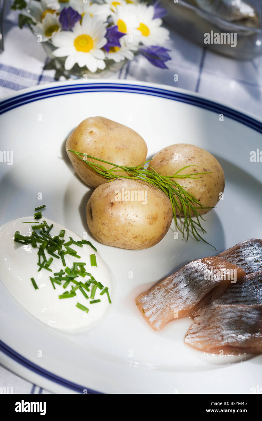 Midsummer party Sweden Stock Photo - Alamy