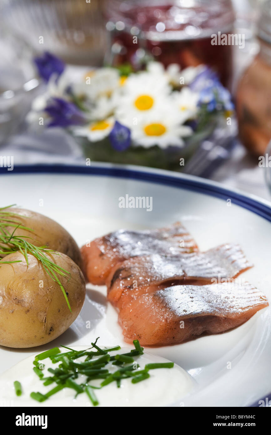 Midsummer party Sweden Stock Photo - Alamy