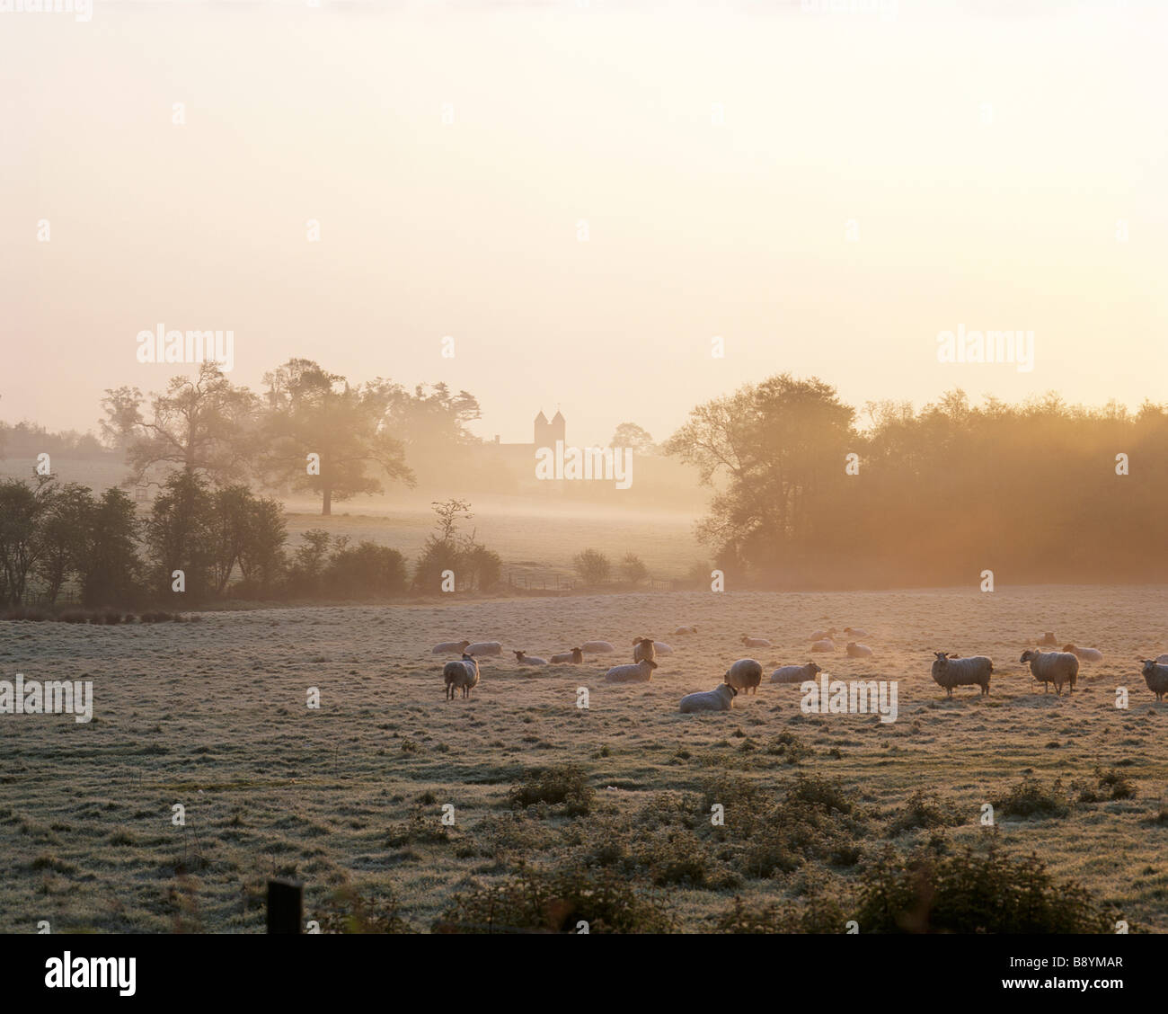 Kent countryside spring mist hi-res stock photography and images - Alamy