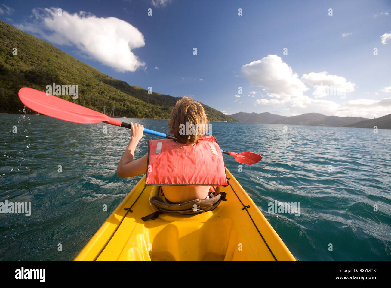 Endeavour Inlet Marlborough Sound South Island New Zealand Stock Photo ...