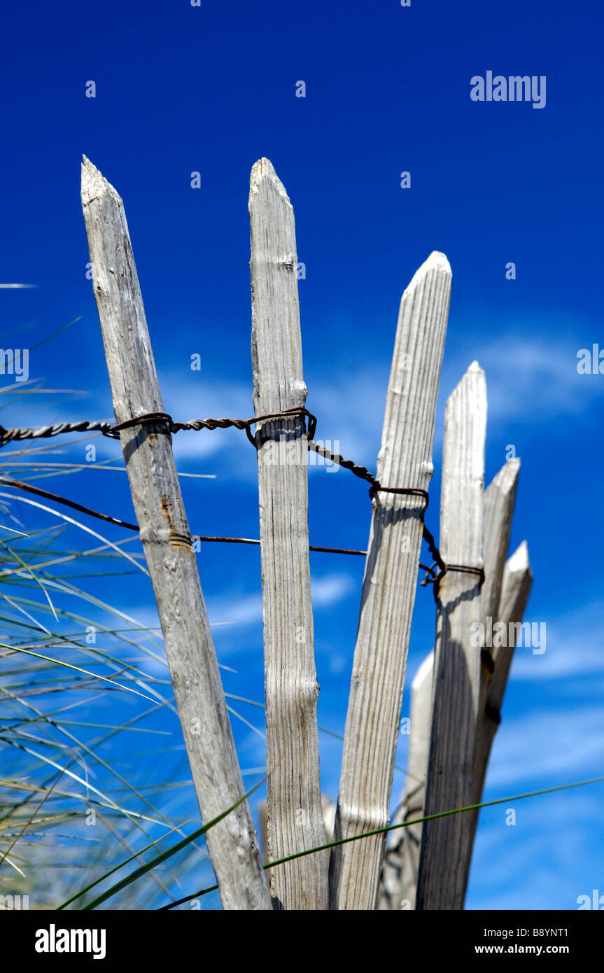 weathered sandy beach fences against a blue sky on the devon coast, uk ...