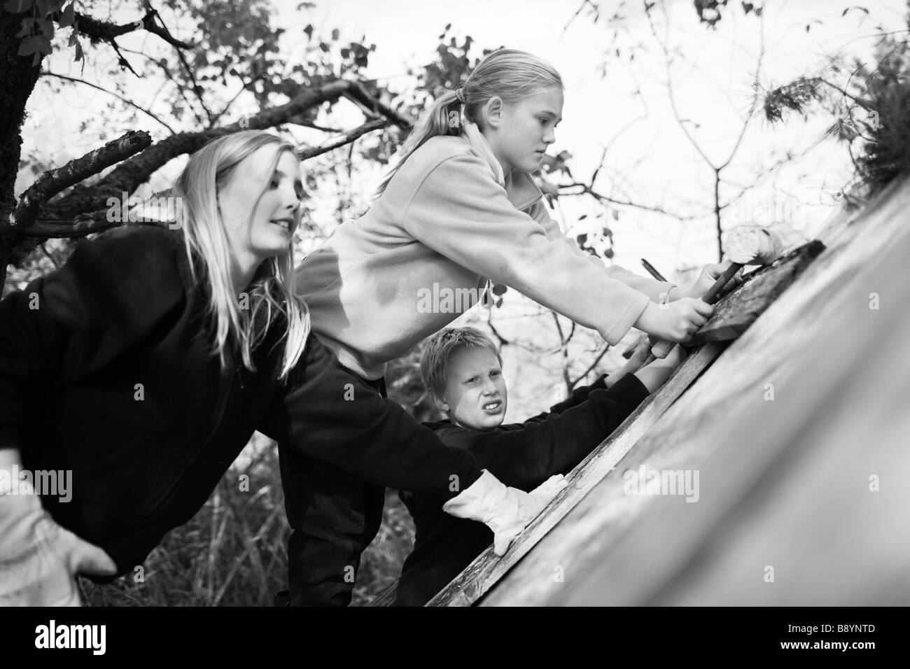 Children doing carpentry Sweden Stock Photo - Alamy