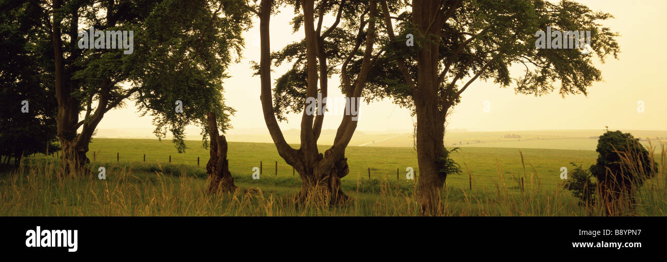 Barrow boundary hi-res stock photography and images - Alamy