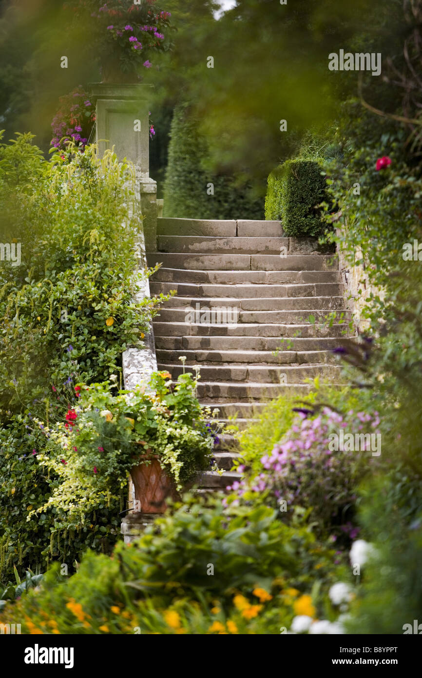 The beautifully planted and overgrown garden steps to the Terrace at ...