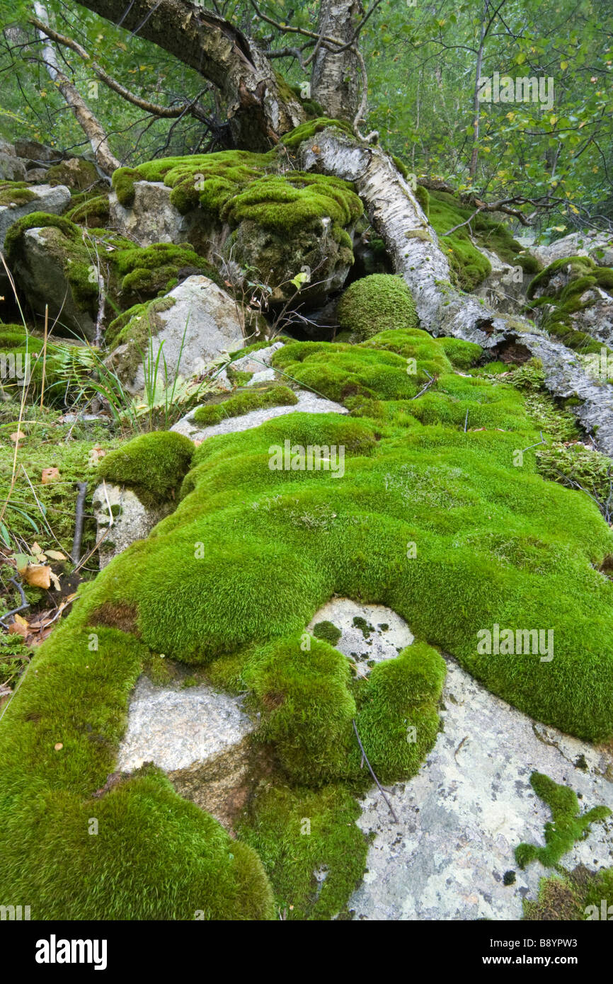 Eriste valley hi-res stock photography and images - Alamy