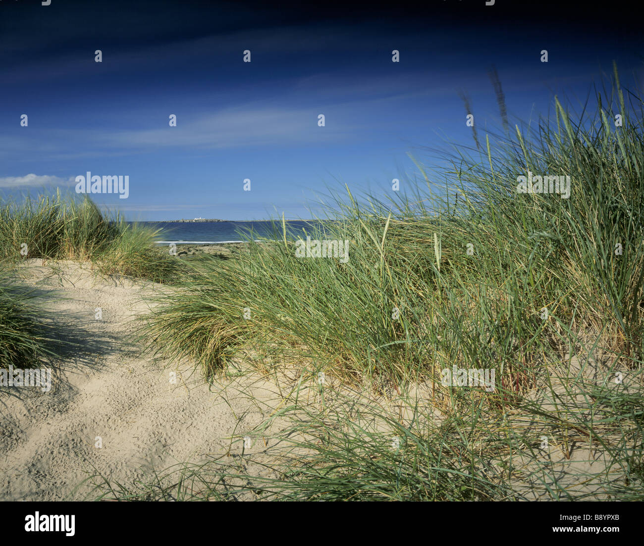 Great shifting sand dunes hi-res stock photography and images - Alamy